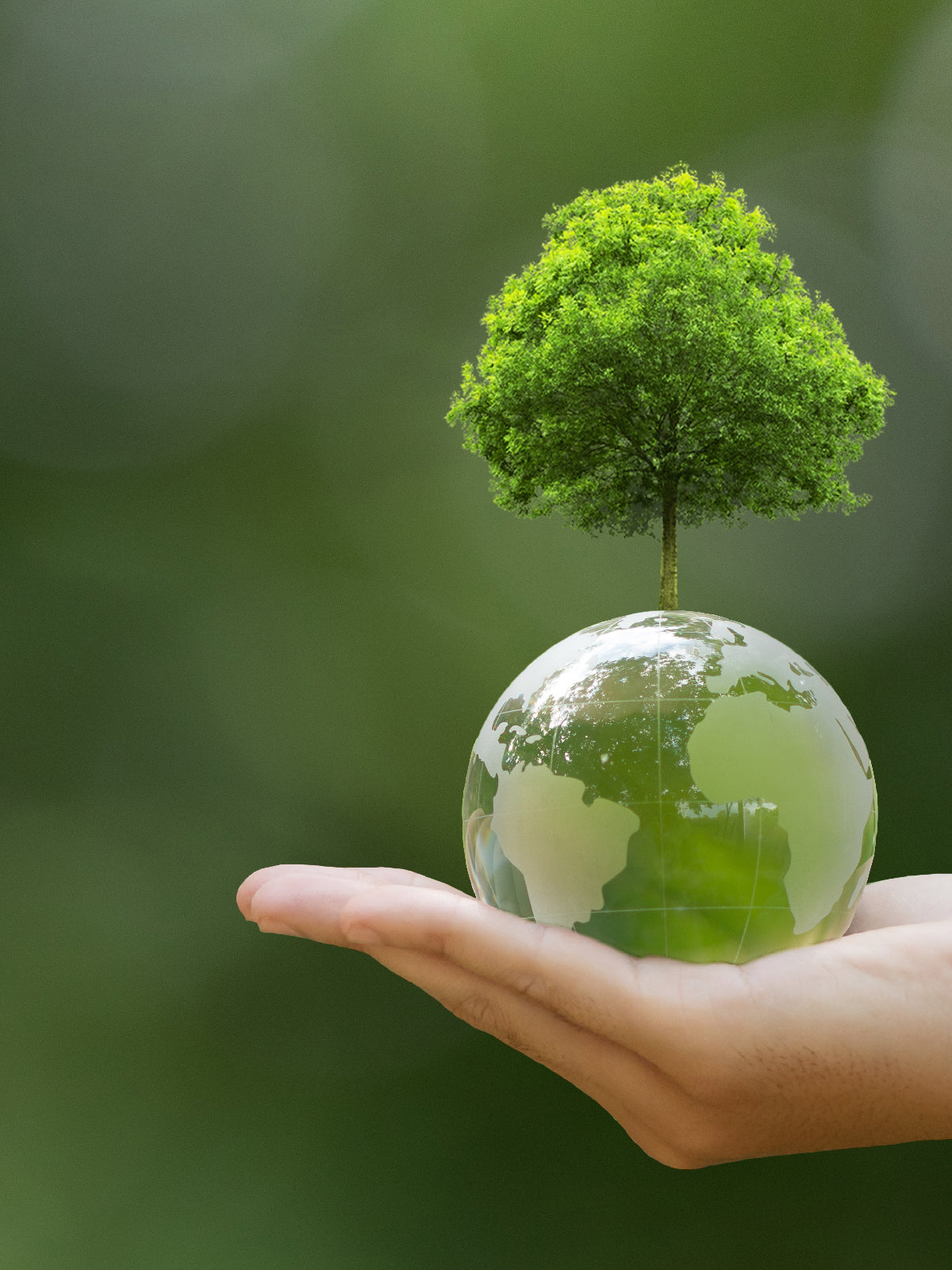 Corporate-CSR – Bajaj Electricals India
